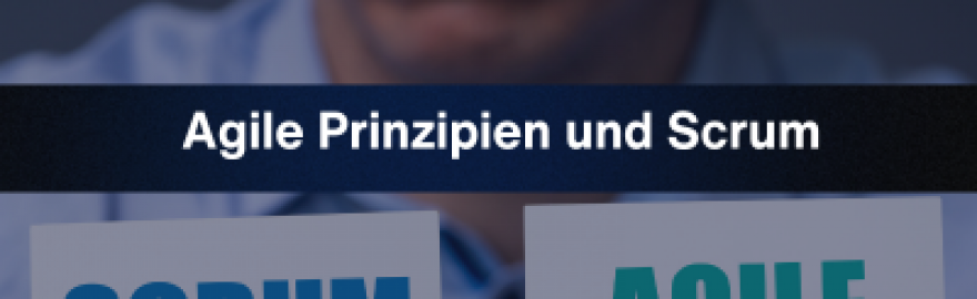 Agile Prinzipien und Scrum: Schnellere Lieferung und wirksame Reaktion